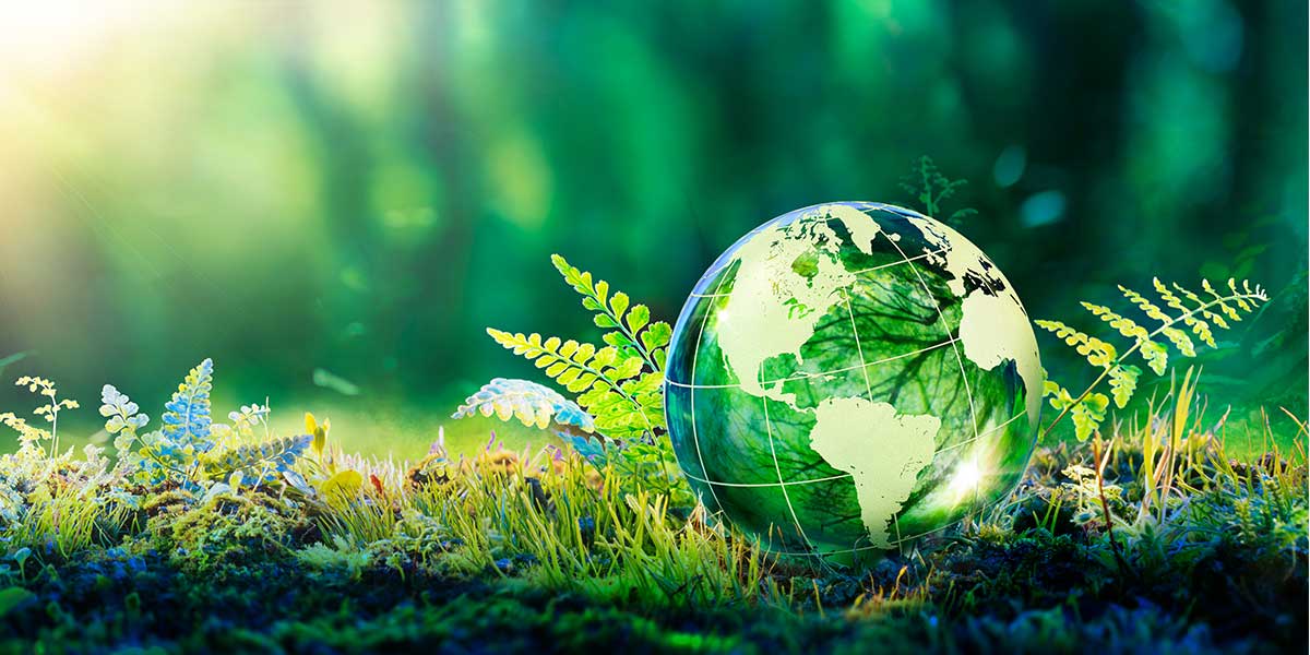 Ecology and Environment – Epic College